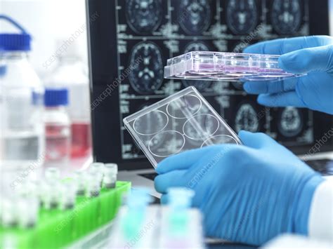 Neurology Research Conceptual Image Stock Image F040 0804 Science Photo Library