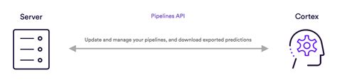 Overview Of Cortex Apis Mparticle Cortex