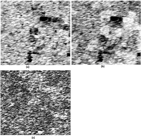 Polarimetric Parameters Of A Entropy B Alpha C Anisotropy Download Scientific Diagram