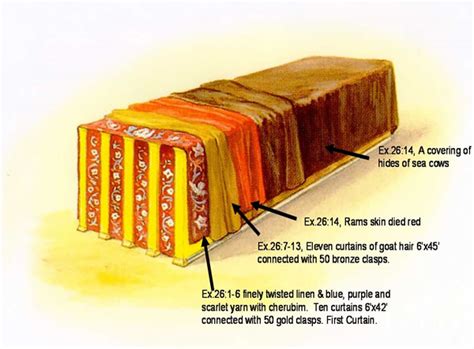 Image One