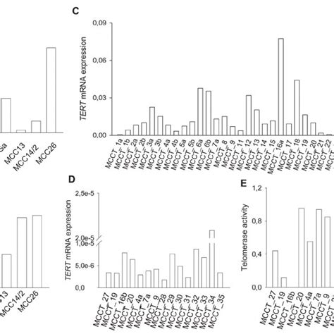 Tert Promoter Mutations Identified In Tumors Derived From Patients With
