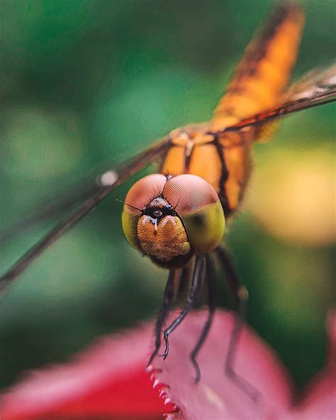 Anagha Anagha 786 • Instagram Photos And Videos