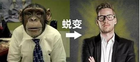 Python学到什么程度才算是精通？可以从事哪些工作？ 知乎