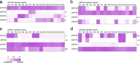 Fitness Trade Offs In Phage Cocktail Resistant Salmonella Enterica