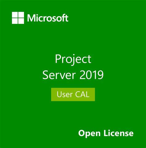 Microsoft Project Server 2019 User Cal Open License Enespa Software
