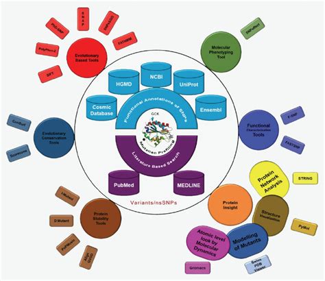 Evolution And Structure Based Computational Methods Reveal The Impact Download Scientific
