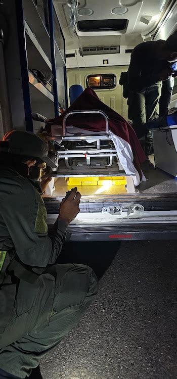 Crece El Misterio De Los Ladrillos Amarillos Con La Marca Del Delfín