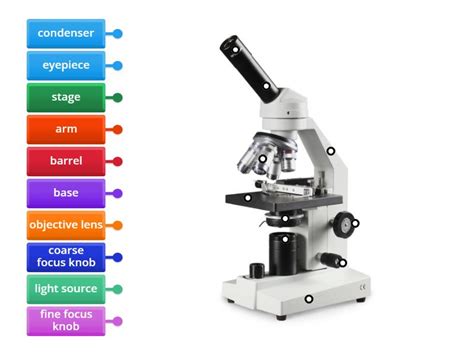 The Microscope Labelled Diagram