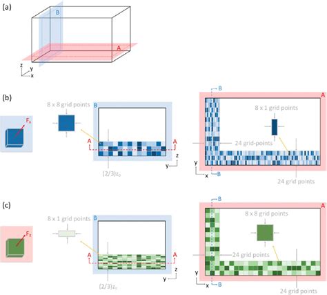 A Diagram Showing The Domain Cross Sections Shown B Force Download Scientific Diagram