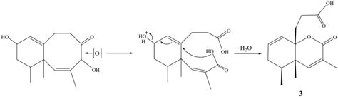 Scheme Proposed Biosynthetic Pathway For Download Scientific Diagram