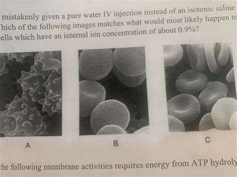 Bio Exam Flashcards Quizlet