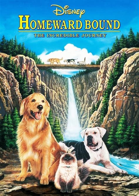 Disney Homeward Bound Remake Fan Casting On Mycast