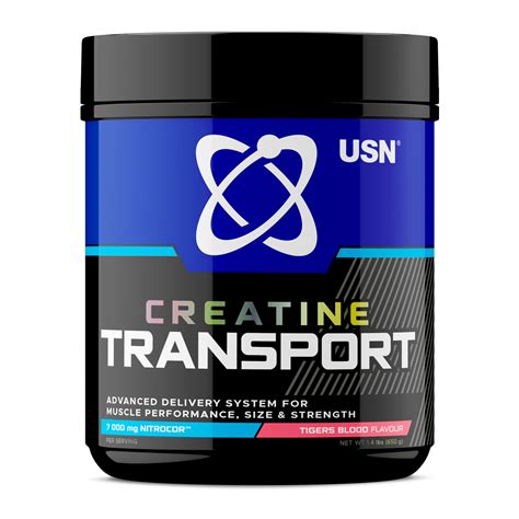 Creatine Transport