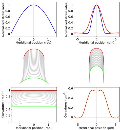 Figure B Two Simulations Validating The Kinematics Of Our Download Scientific Diagram