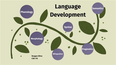 Language Development Concept Map By Reagan Olino On Prezi