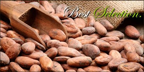 Factory Supply Dutch Process Alkalized Cocoa Powder S9