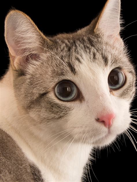 Algorithm Review 9th 12th Grade Flashcard Quizizz