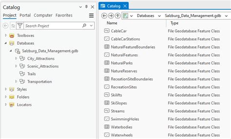 Arcgis Pro Sdk Documentation