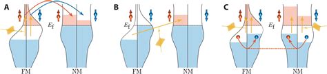 Light Induced Ultrafast Spin Transport In Multilayer Metallic Films Originates From Sp D Spin