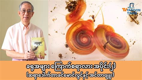 ခရုအဖျား ကြောက်စရာလား အပိုင်း၂ Youtube