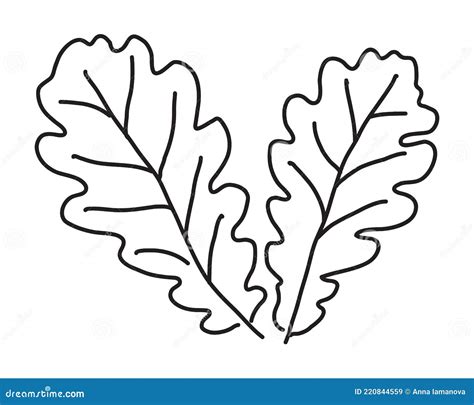 Oak Leaf In The Doodle Style Stock Vector Illustration Of Element