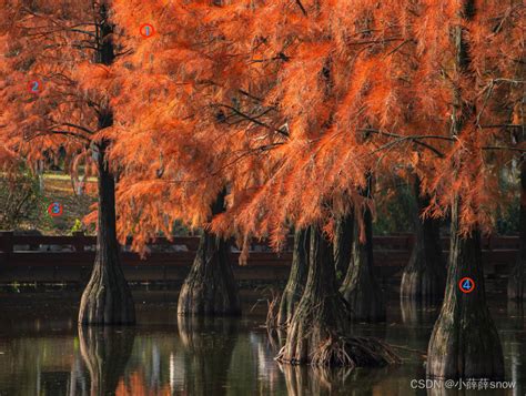 Matlab自制colorbar（三）：用照片的配色制作colormap绘制一张图片的colorbar Csdn博客