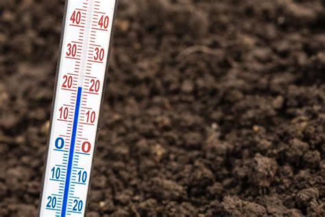 How To Determine Soil Temperature Even Without A Thermometer