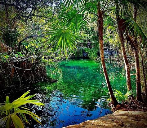Cenote Escondido Ruta De Cenotes