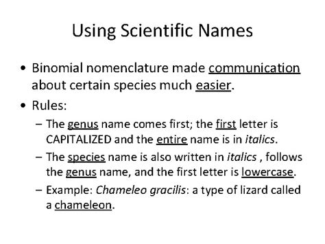 Evolution Notes Chapter 2 Taxonomy And Classification 43014