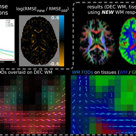 Pdf Improved White Matter Response Function Estimation For 3 Tissue