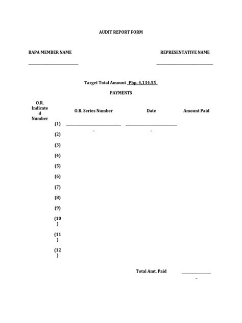 Auditreportform 1 Pdf