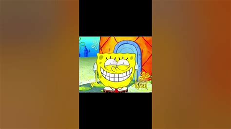 Resignation [spongebash] Spongebob Edit Resignation Youtube