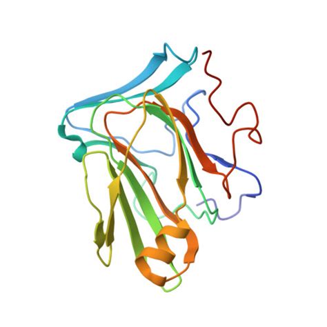 Rcsb Pdb 8tek Baseplate Of Nexin Dynein Regulatory Complex From Tetrahymena Thermophila