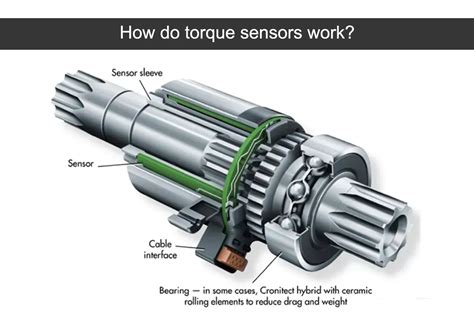 Torque Vs Cadence Sensor On E Bike What Is The Difference