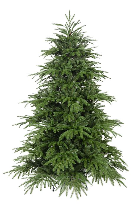 ნაძვის ხე მწვანე Alexandra