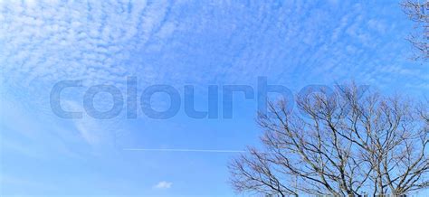 Blue Carpet Naked Stock Image Colourbox