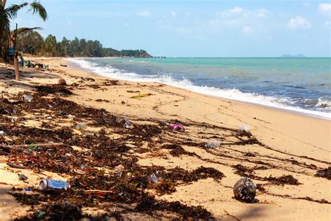 Garbage On Sea Beach Unsorted Rubbish Plastic Glass Bottle Metal