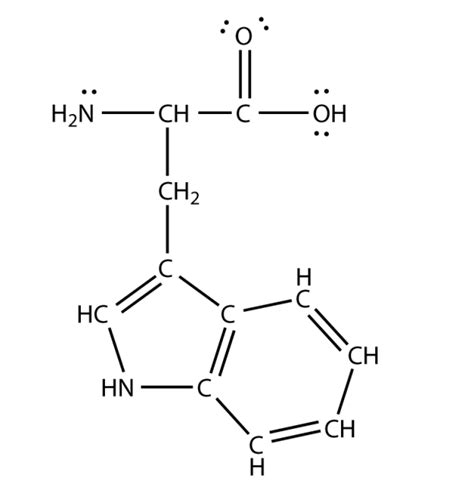 Tryptophan Lewis Structure