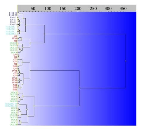 Single Cell Gene Expression Profile Of Genes Related To Pluripotency In Download Scientific