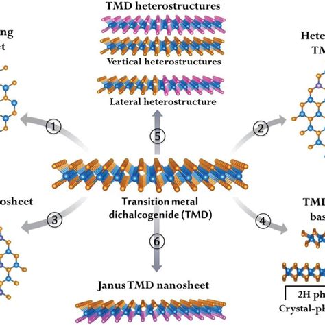 Schematic Presentation Of Different Novel‐structured Tmd Nanosheets Download Scientific