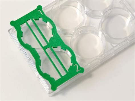 Scratch Assay Guide For 6 Well Plate By Fanfan Makerworld