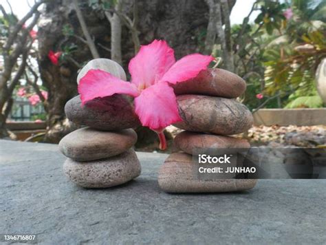 흰색 대리석 벽지에 선 현무암 돌 0명에 대한 스톡 사진 및 기타 이미지 0명 가꿔주기 개념 Istock