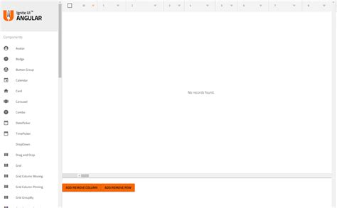 No Message Is Displayed When There Is Empty Grid Data Without Filtering