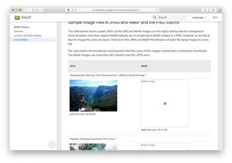 2021 12月 Webp Safari 瀏覽器支援狀況