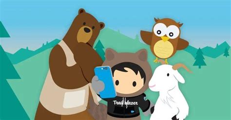 全网最全的salesforce营销云管理员认证考点梳理！ 知乎