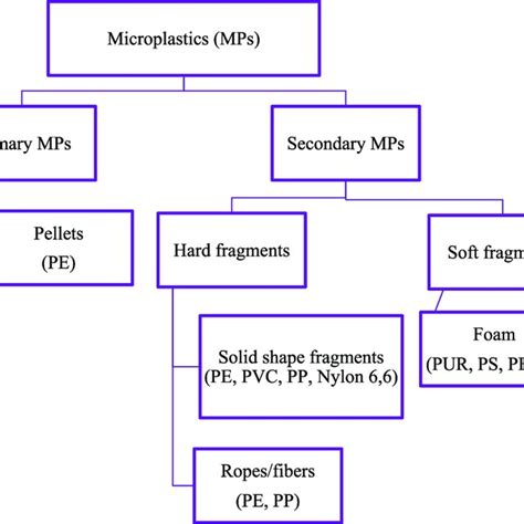 Physical Classification Of Mps Download Scientific Diagram