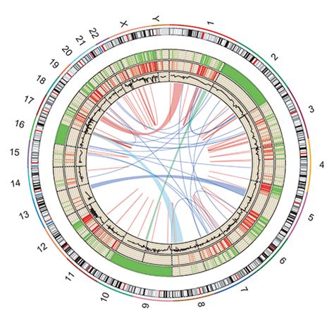 人基因组重测序人基因组基因组学科研服务上海派森诺生物做单细胞、微生物、基因组、蛋白质代谢、转录组测序等多项测序技术服务商 人基因组重测序人基因组基因组学科研服务上海派森诺生物做单细胞、微生物、基因组、蛋白质代谢、转录组测序等多项测序技术服务商