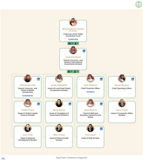 Public Investment Fund S Organizational Structure Interactive Chart
