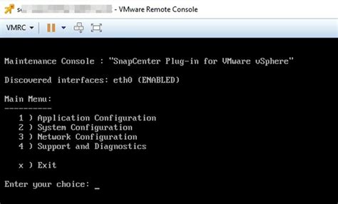 Access The Maintenance Console