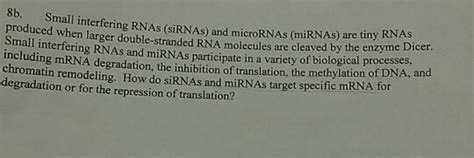 Solved 8b S Small Interfering Rnas Sirnas And Micrornas